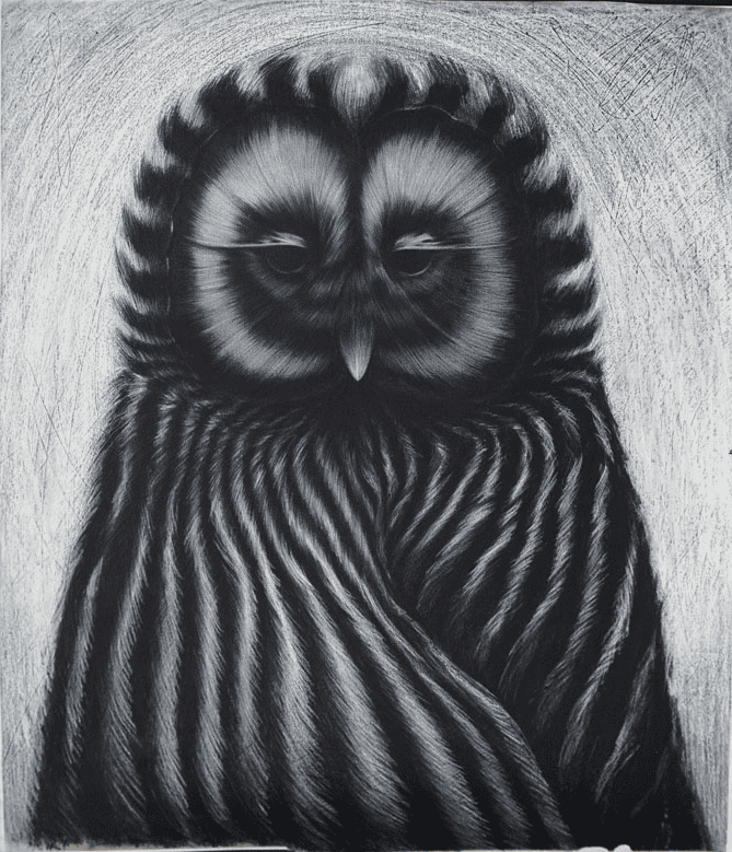 Get to Know Mural Artist Christopher Burch | Nebula